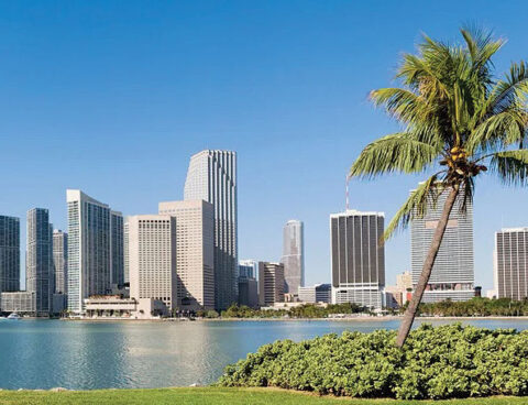 Wellness Cruise & Vegan Vacation | Holistic Holiday at Sea