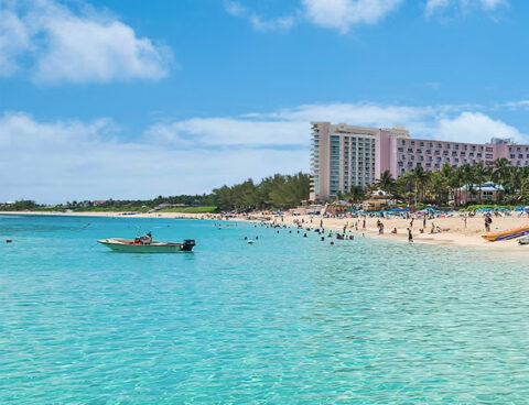 7 Day Vegan Voyage - March 8-15, 2025 - Holistic Holiday at Sea