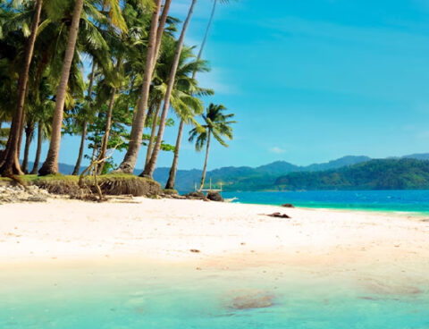 CA26 - Holistic Holiday at Sea