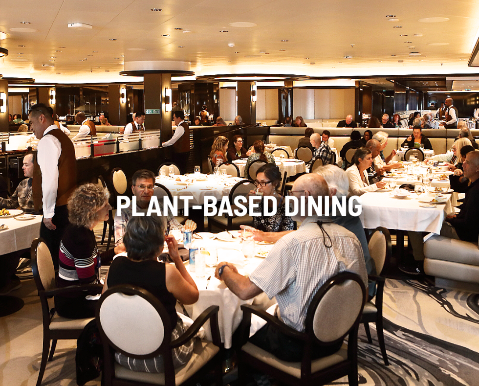 VegNews - Holistic Holiday at Sea